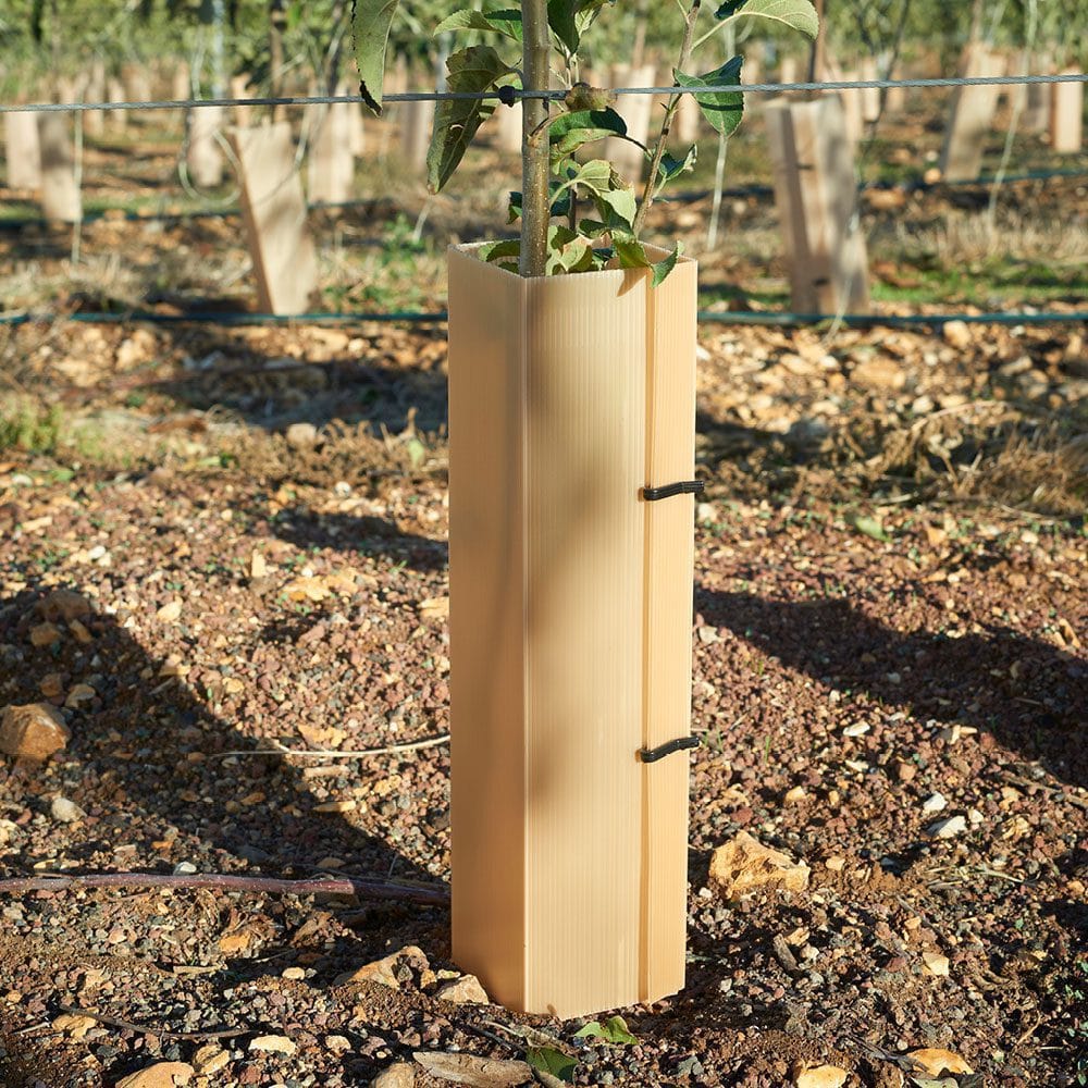 Plant Protector 80 cm - Paskal Group